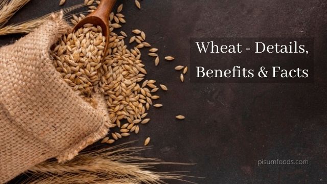 Details, Benefits & Facts of Wheat [Popular Cereal] | Pisum Foods